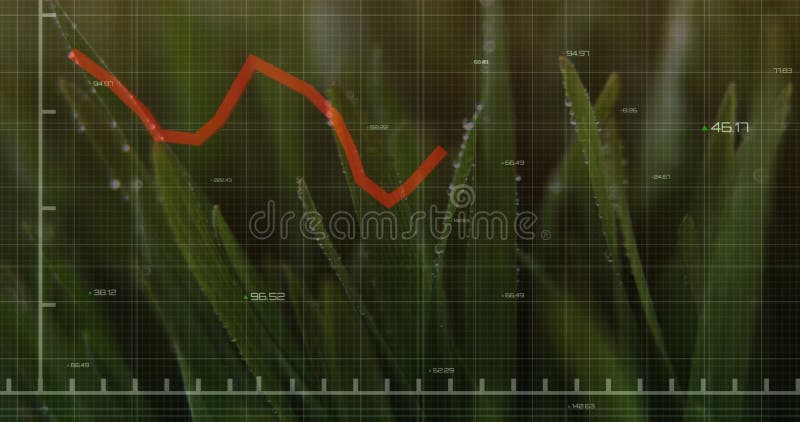 Red Jagged Line Chart Overlaying Dewy Grass at Dawn, Showing Grid, Axis ...