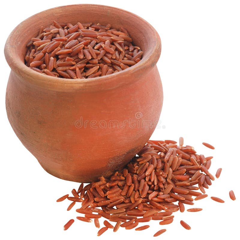 Red Jasmine rice stock photo. Image of view, agriculture - 348674464