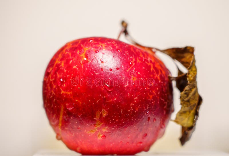 Red Jonathan Apple with Dry Leaves. Stock Photo - Image of leaves ...