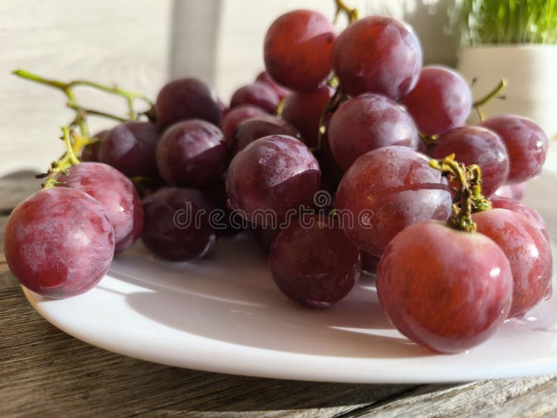 Red Juicy Ripe Grapes on a Plate Stock Image - Image of natural, wine ...