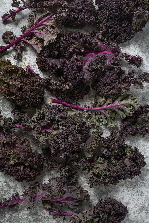 Red Kale on Grey Stone Surface Stock Image - Image of colorful, magenta ...