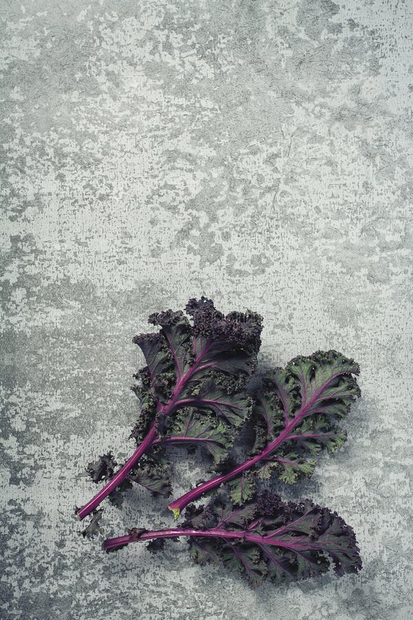 Red Kale on Grey Stone Surface Stock Image - Image of fresh, food ...