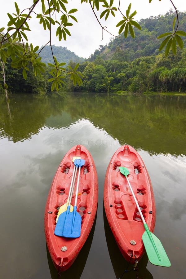 559 Environment Florida Kayak Stock Photos - Free & Royalty-Free Stock ...