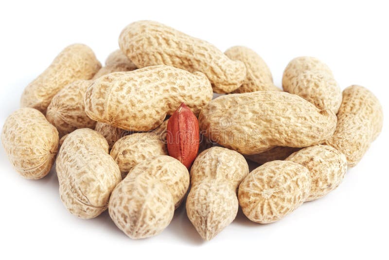 Red peanut kernel in shell stock photo. Image of delicious - 17680998