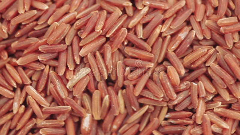 Red Kernel Rice in bulk stock footage. Video of heap - 111192598