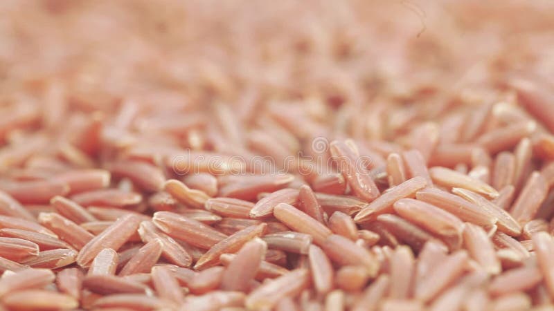 Red Kernel Rice in bulk stock video. Video of healthy - 112477533