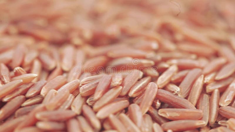 Red Kernel Rice in bulk stock footage. Video of ingredient - 115218426