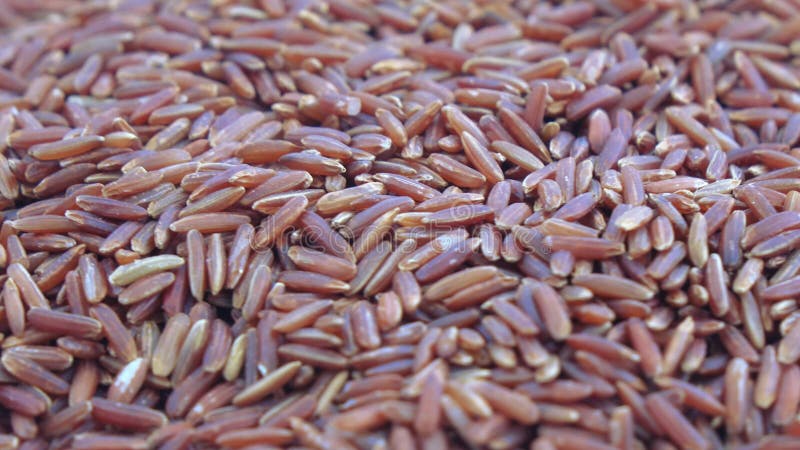 Red Kernel Rice in bulk stock video. Video of asian - 112486639
