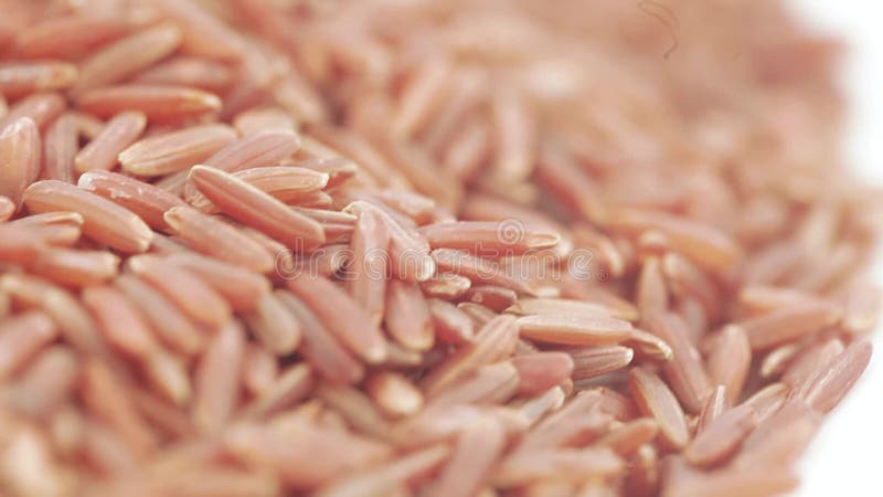 Red Kernel Rice in bulk stock video. Video of cargo - 113095703