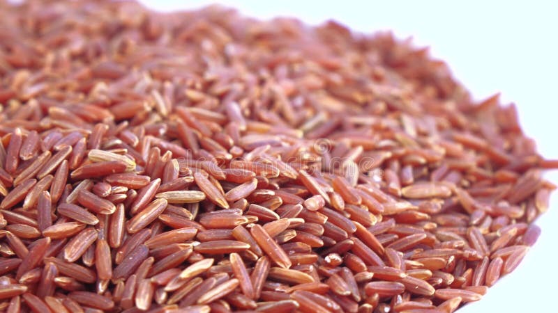 Red Kernel Rice in bulk stock video. Video of healthy - 112477533