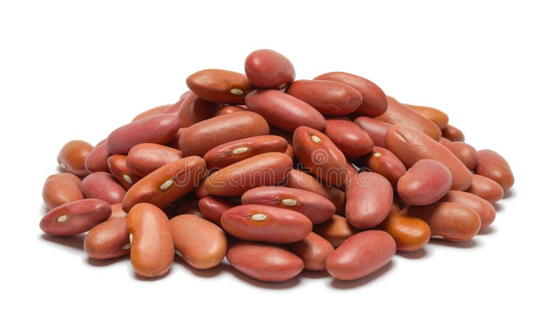 1,722 Kidney Cut Stock Photos - Free & Royalty-Free Stock Photos from ...