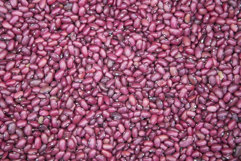 Red bean stock image. Image of color, grain, pakistan - 61645517