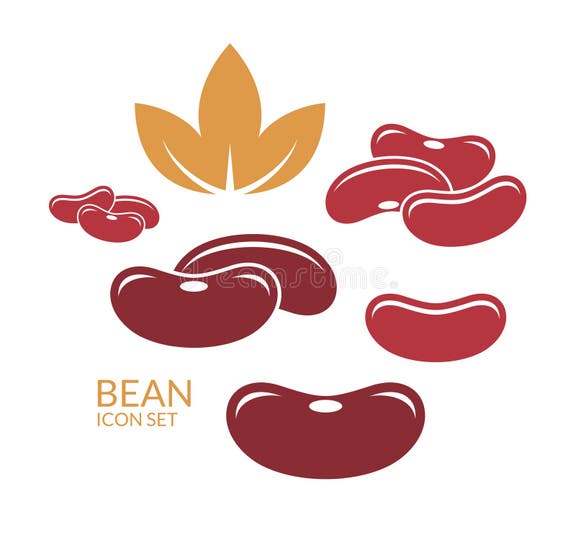Red kidney bean stock vector. Illustration of vector - 69242620