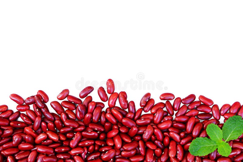 Red kidney bean on white stock image. Image of background - 105506317