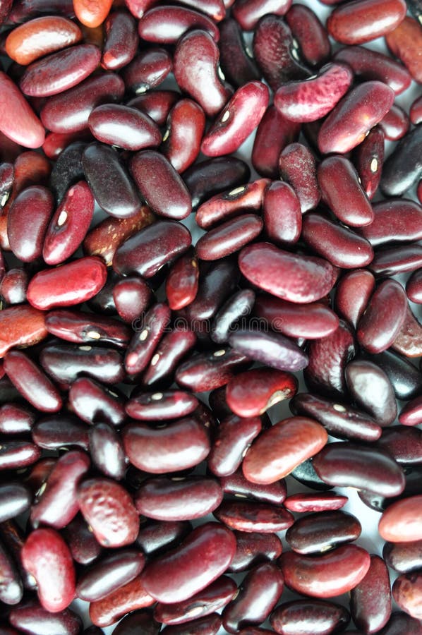Red kidney beans stock photo. Image of beans, view, grain - 14757496