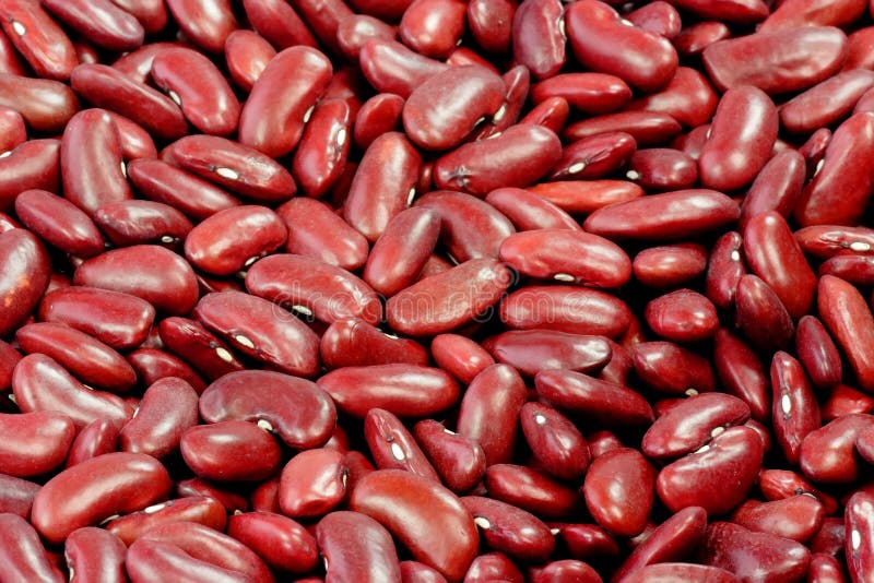 Red Kidney Beans stock photo. Image of organic, vegetarian - 3993560