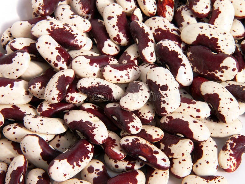 Red kidney beans stock image. Image of beans, healthy - 4412247