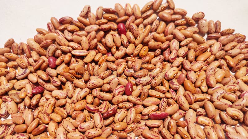 Raajma Daal Stock Photos - Free & Royalty-Free Stock Photos from Dreamstime