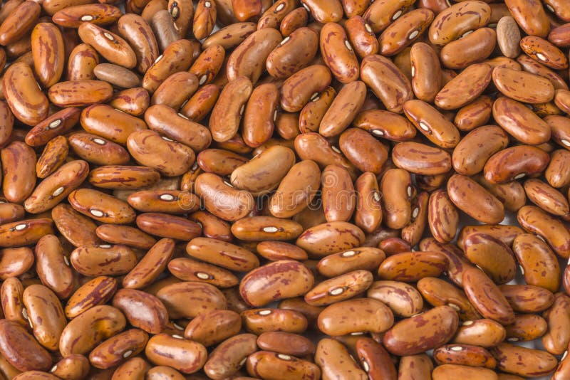 1,317 Rajma Seed Stock Photos - Free & Royalty-Free Stock Photos from ...