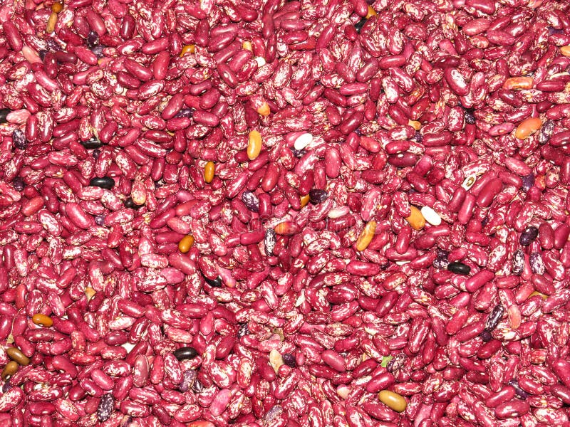 Red Kidney Beans in San Salvador, El Salvador Stock Photo - Image of ...