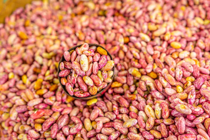 Red Kidney Beans in Tin Can, Local Market Stock Image - Image of earth ...