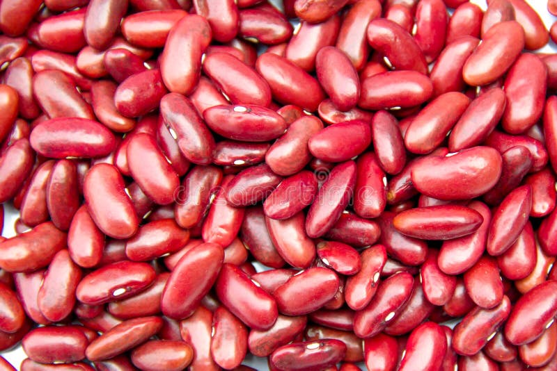 Red Kidney Beans on a White Background Stock Image - Image of group ...