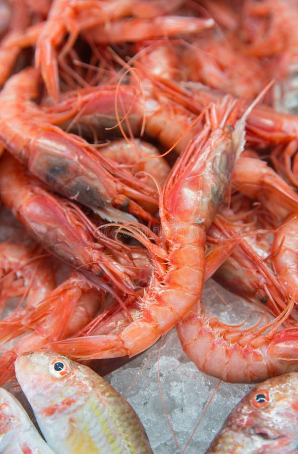 Prawns Exposed Stock Photos - Free & Royalty-Free Stock Photos from ...