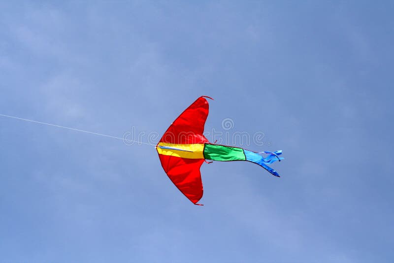 Red kite stock image. Image of flying, blue, outdoors, hight - 152447