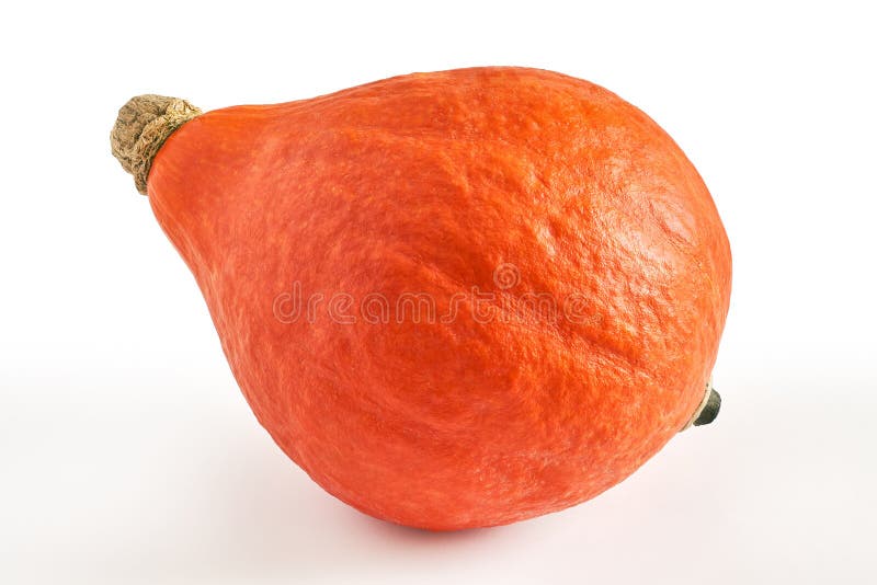 Red kuri squash stock photo. Image of cutout, vegetarian - 81093442