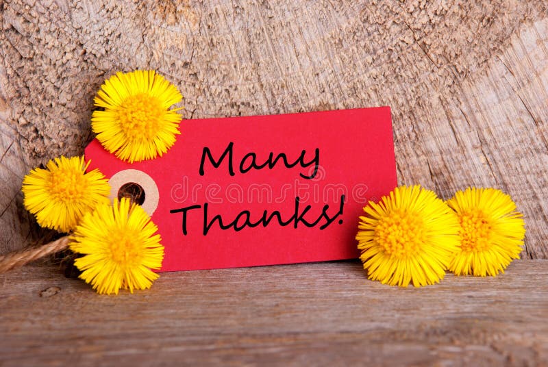 2,337 Many Thanks Stock Photos - Free & Royalty-Free Stock Photos from ...
