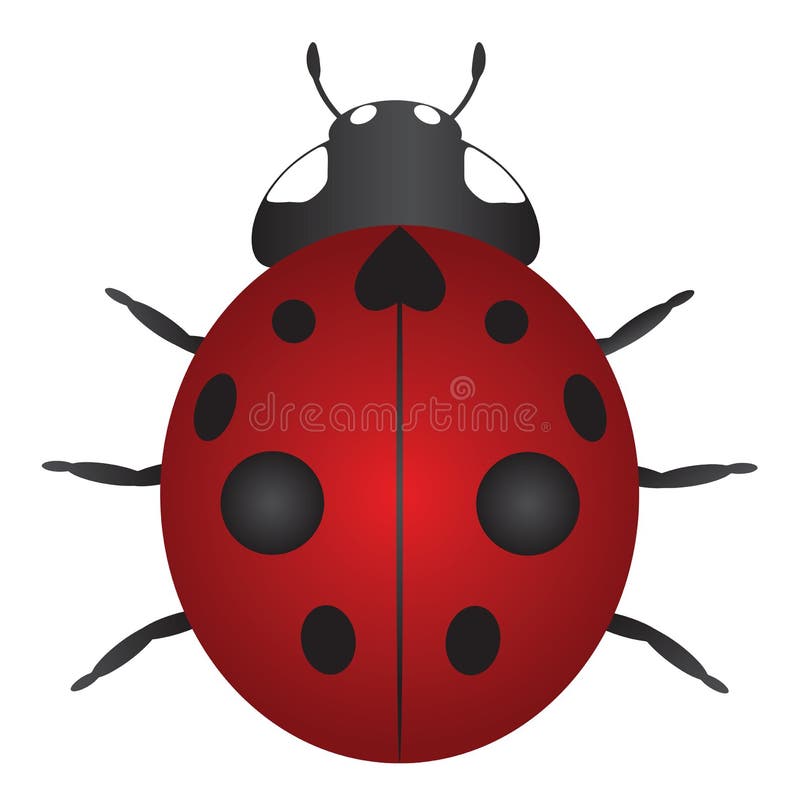 Red Ladybug Color Vector Illustration Stock Illustration - Illustration ...