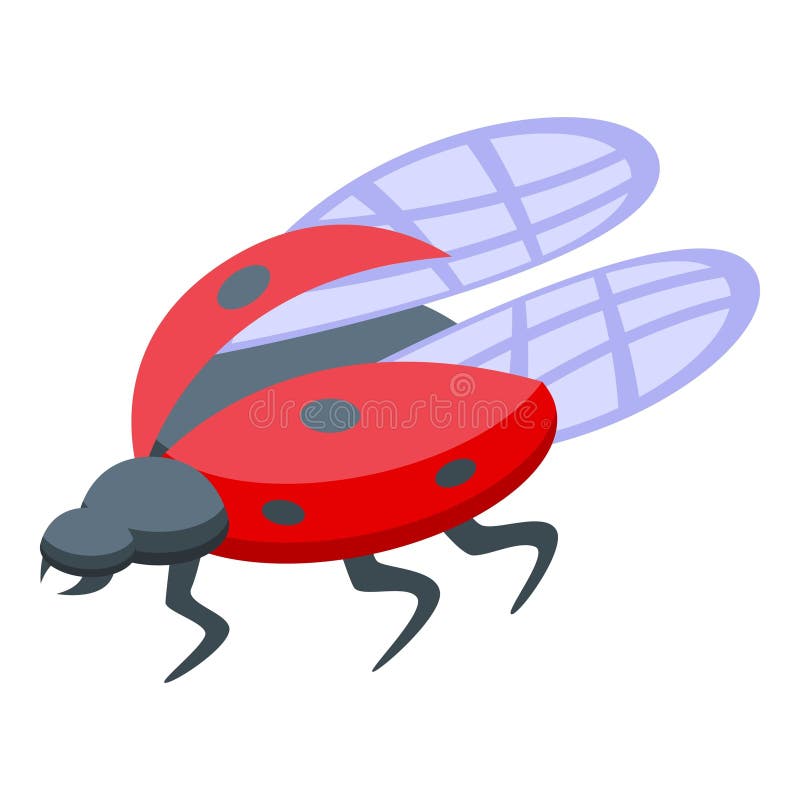 Red Ladybug Flying with Open Wings Isometric View Stock Vector ...