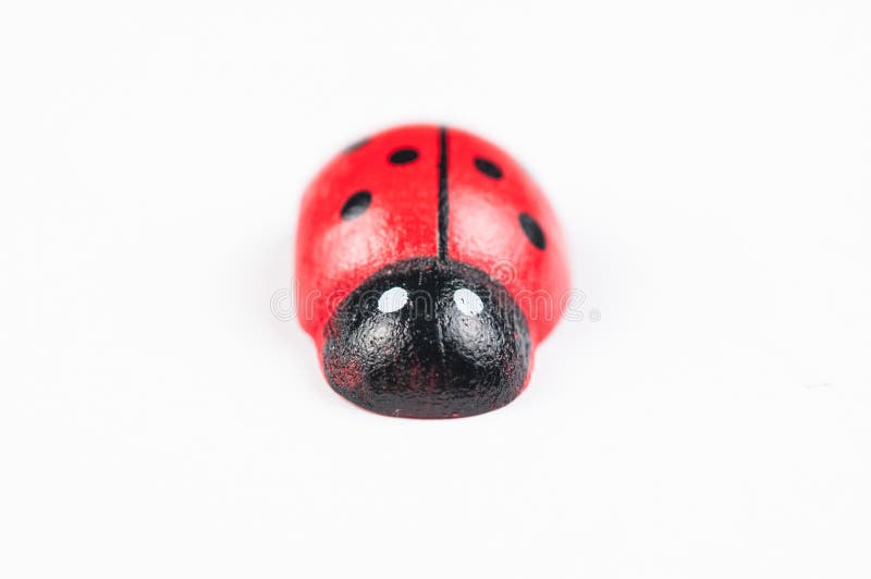 Red Ladybug Isolated on White Background.Kids Toy Stock Photo - Image ...