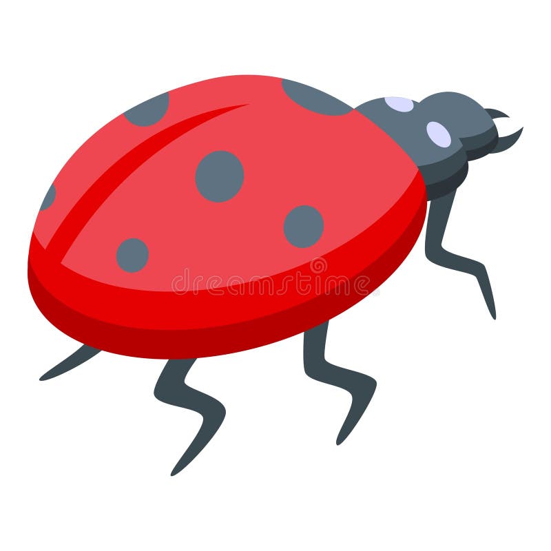 Red Ladybug Walking with Black Spots on Shell Stock Vector ...