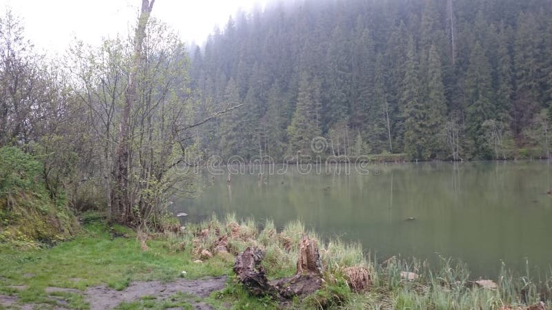 Bicazului Key Romania Stock Photos - Free & Royalty-Free Stock Photos ...