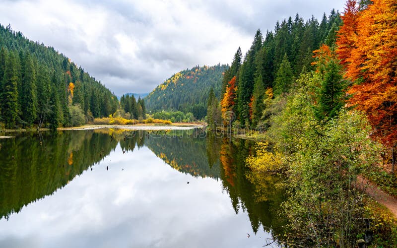 Red Lake at Fall, Transylvania, Romania Stock Image - Image of forest ...