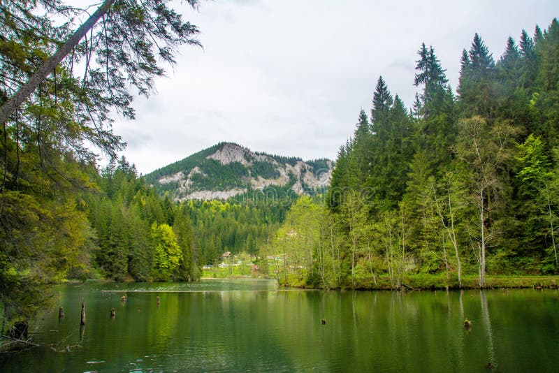 Red Lake in Romania stock image. Image of forest, reflections - 186590297