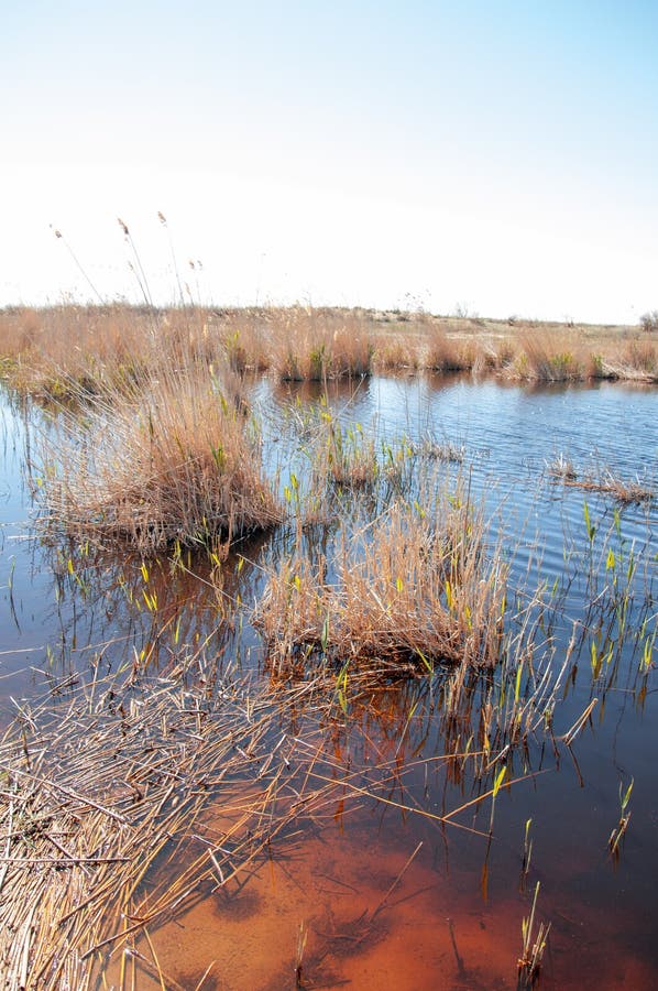 Red lake stock photo. Image of desert, outdoor, patterns - 122170404
