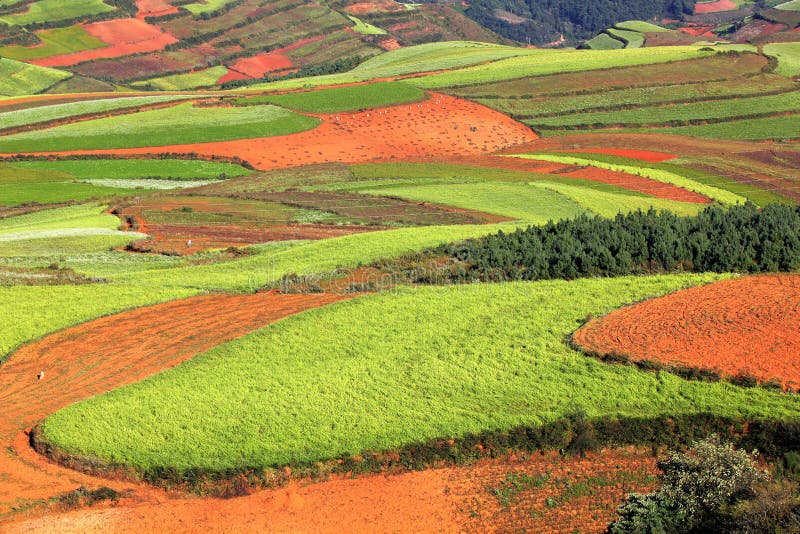 Red Land stock photo. Image of travel, terraces, highland - 27712180