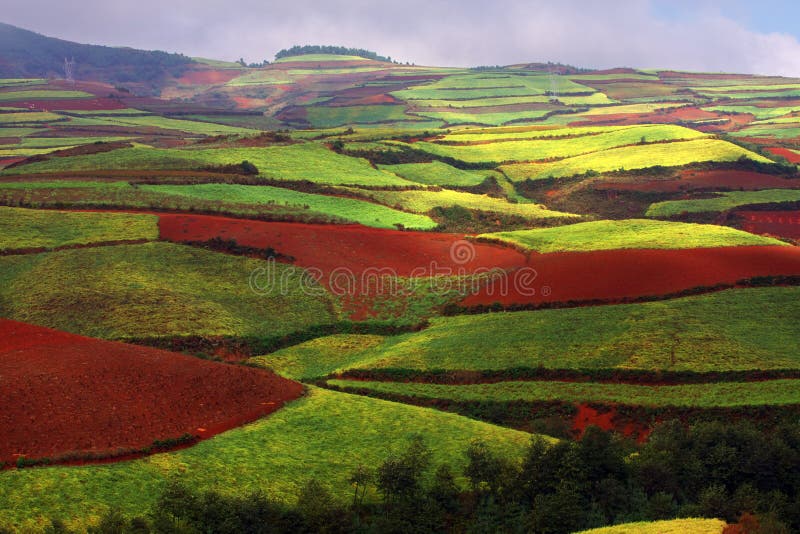 Red land stock image. Image of goad, meadow, farm, beautiful - 7926081