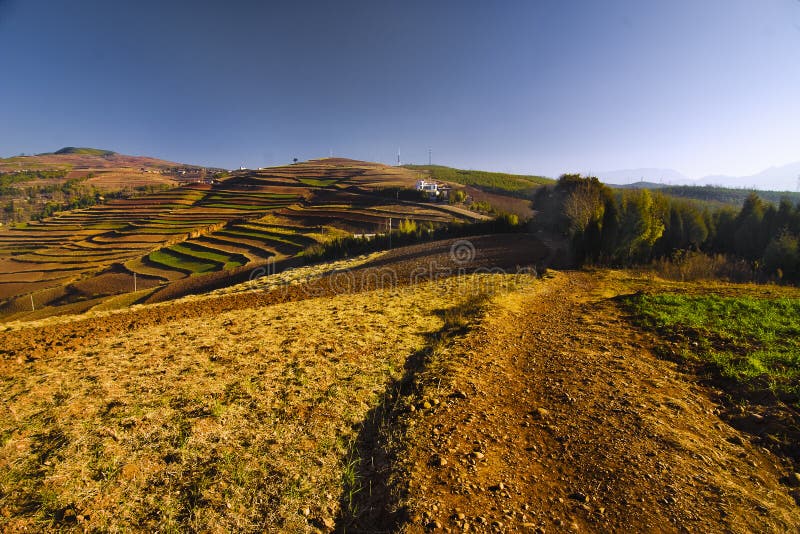 Red Land Picture. Image: 8095116