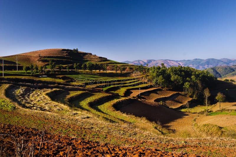 Red land stock photo. Image of crop, blue, path, clear - 8095116