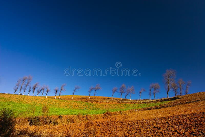 Red land stock image. Image of land, agriculture, trees - 8095543