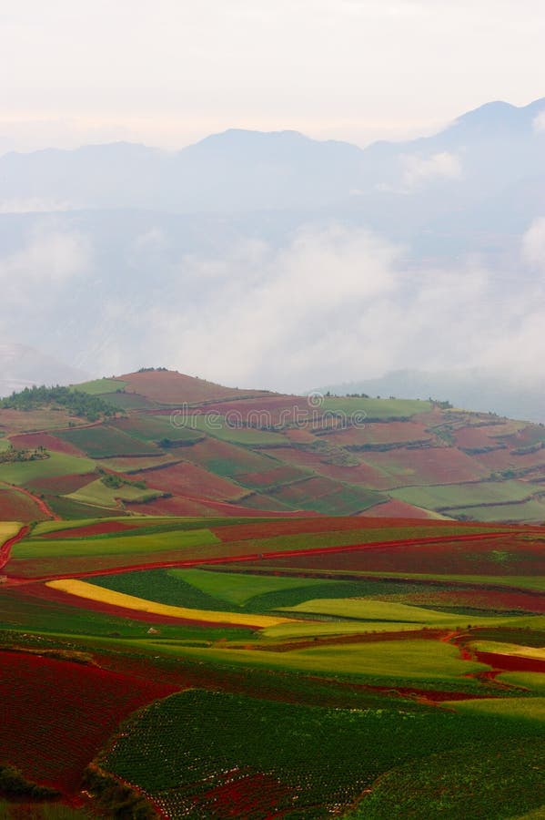 Red land stock image. Image of yunnan, brae, yellow, farming - 9298403