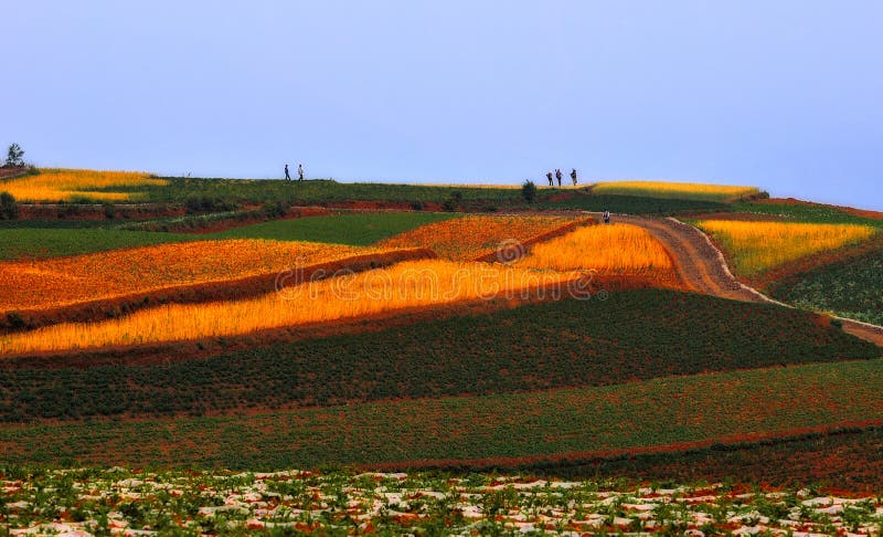 Red land stock image. Image of harvest, autumn, beauty - 9654213
