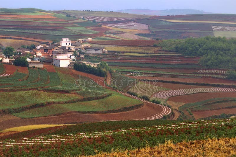 Red Land Picture. Image: 8095116