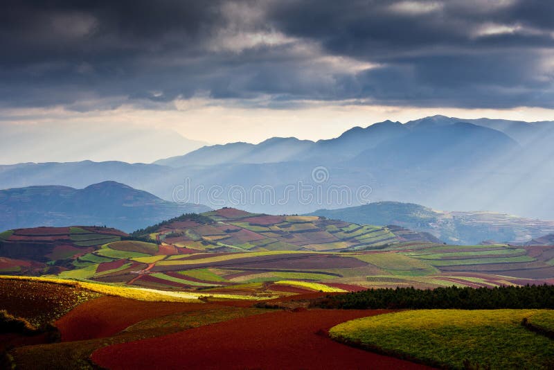 Red land in sunrise stock photo. Image of grain, flowers - 22065352