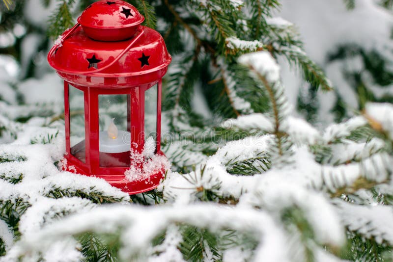 Red Lantern on Branches of Spruce Covered with Snow Stock Image - Image ...