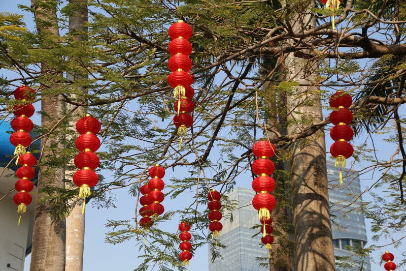 Red Lanterns Hanging from a Tree at Night during a Chinese New Year ...