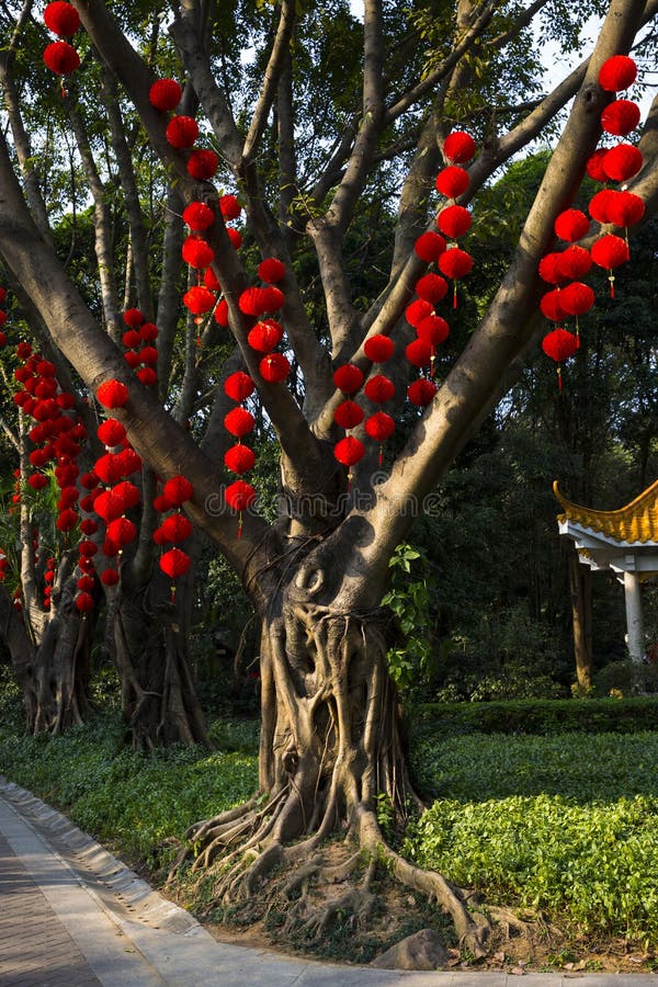 Chinese Spring Festival. Tree And Chinese Lanterns Stock Image - Image ...